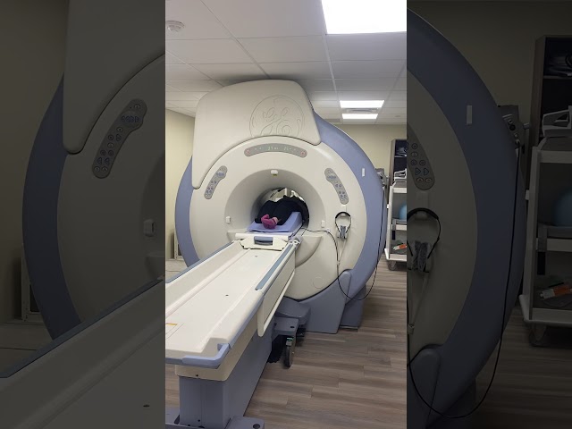 MRI Scan Machine - Mri Scan Machine Service Provider from Chennai