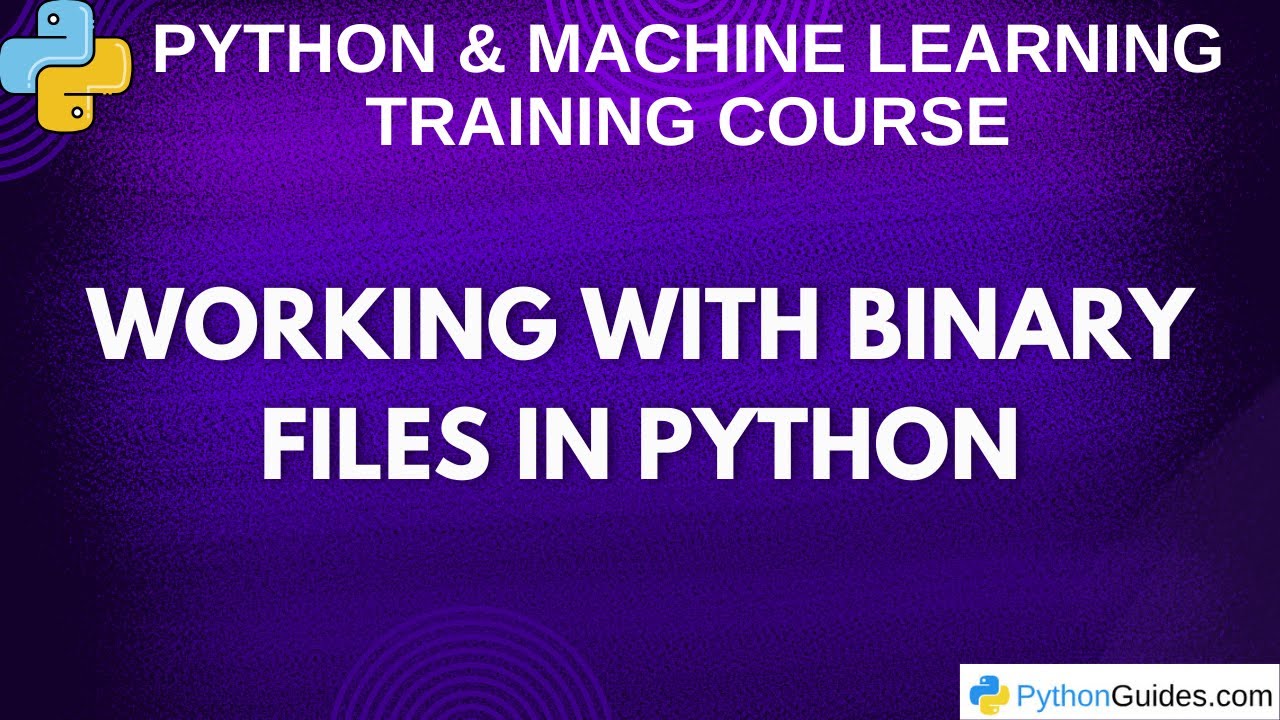Python Binary Files | Python Tutorials for Beginners | 2025