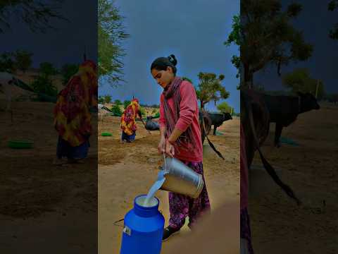 desi chora full moj kakareg π#trending #cow #milking #dairyfarming#haryanvi #haryanvisong