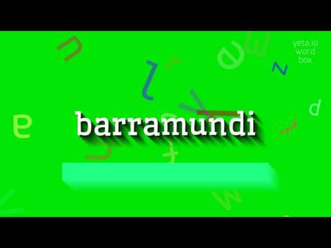 How to say "barramundi"! (High Quality Voices)