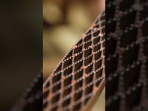 The Shinto Rasp in 10 seconds