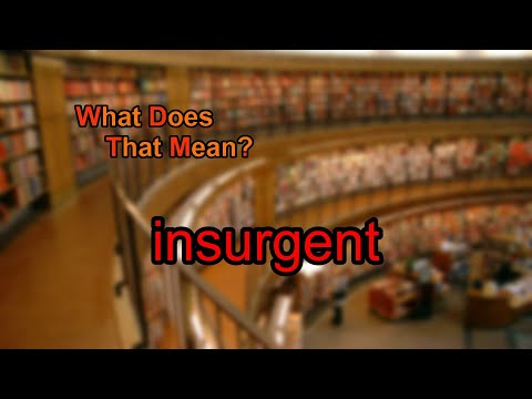 What does insurgent mean?