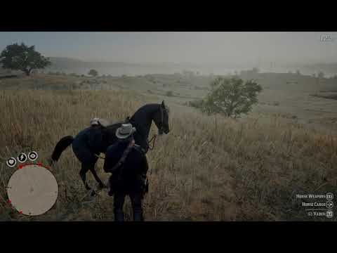 Steam Community :: Video :: Red Dead Redemption 2- Master Hunter ...