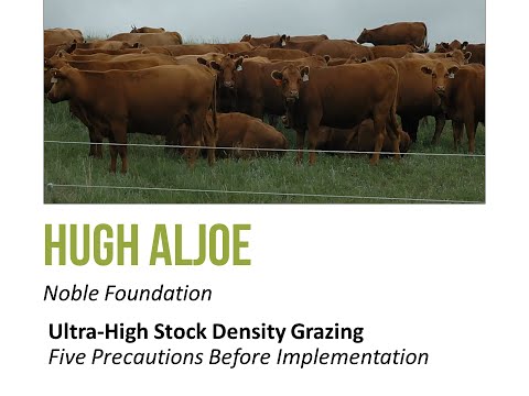 Ultra-High Stock Density Grazing
