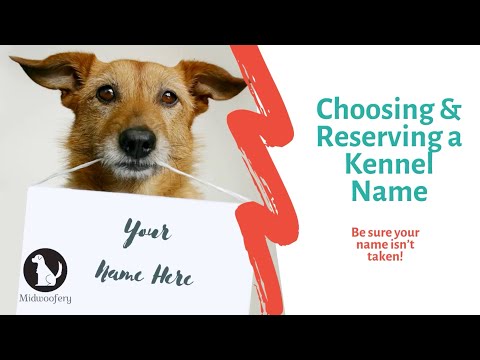 Choosing a Kennel Name
