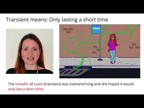 Remember Meaning Of Transient Using Pictures and Mnemonics