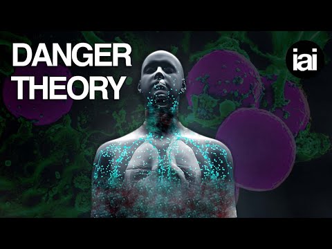 Is the biological self a delusion? | JohnJoe McFadden, Ane Ogbe and Peter Brodin