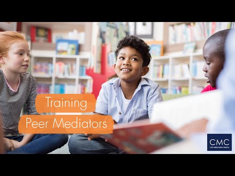What is Peer Mediation?