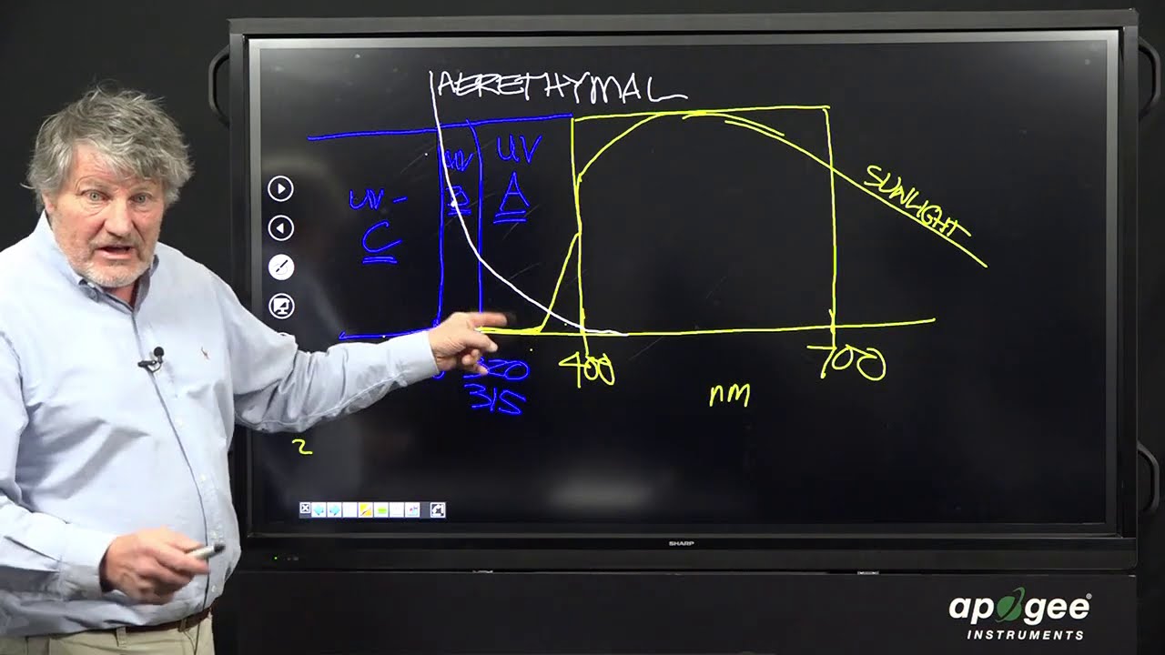 How Ultraviolet Radiation Affects Plants with Dr. Bruce Bugbee