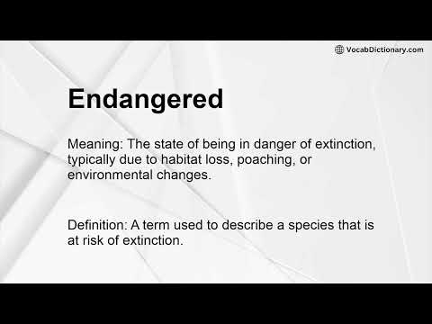 Endangered Meaning