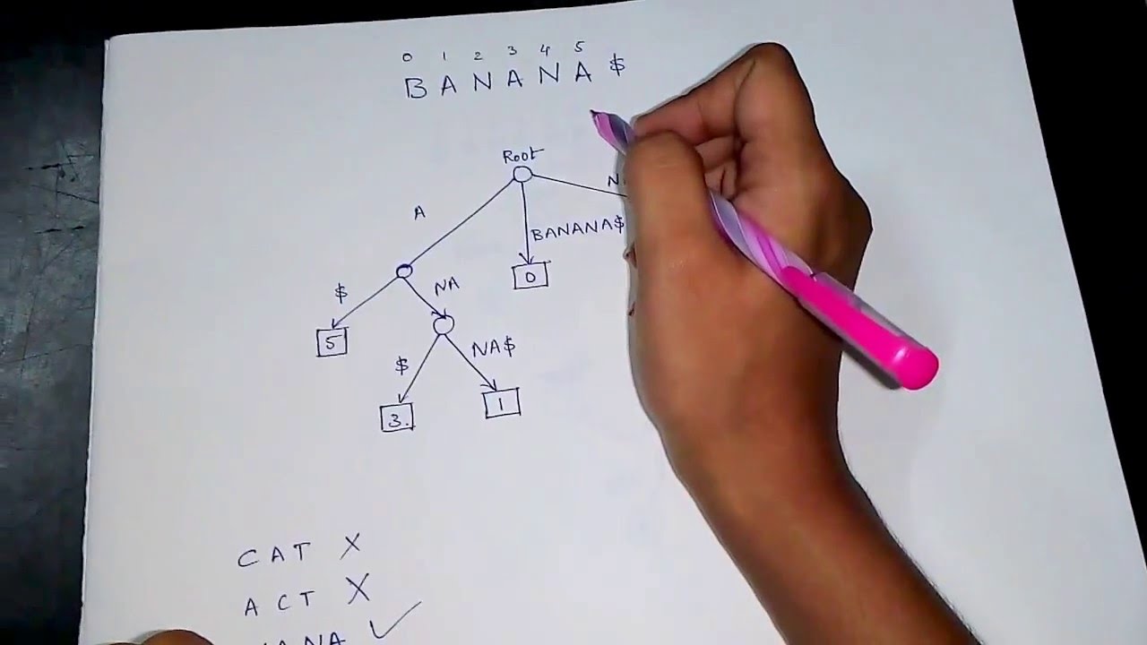 Suffix Tree Construction