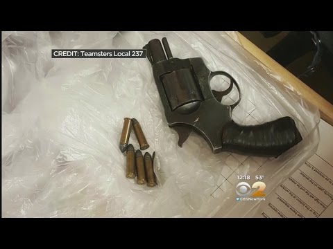 Gun In Queens School
