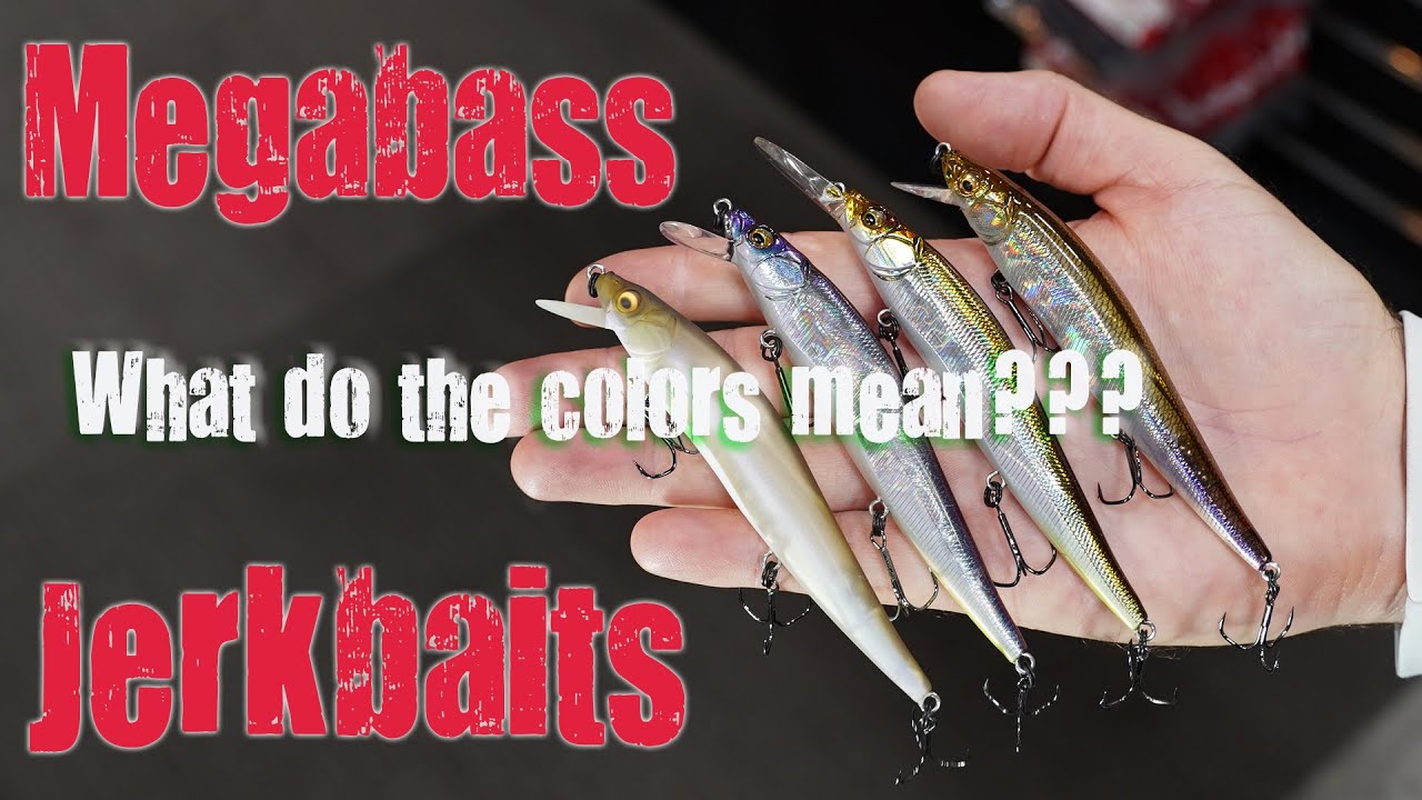Breaking Down Megabass Jerkbait Color Codes! What Do They Mean?!
