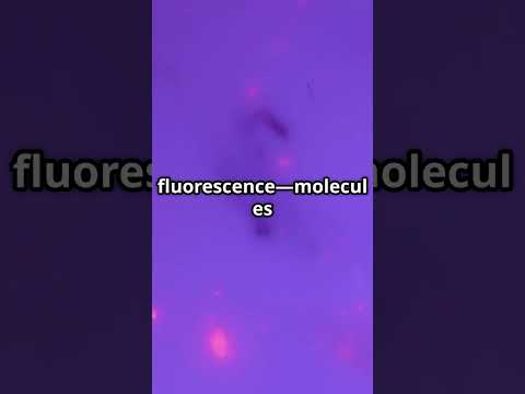How Organic Molecules Survive  Space With Recurrent Fluorescence