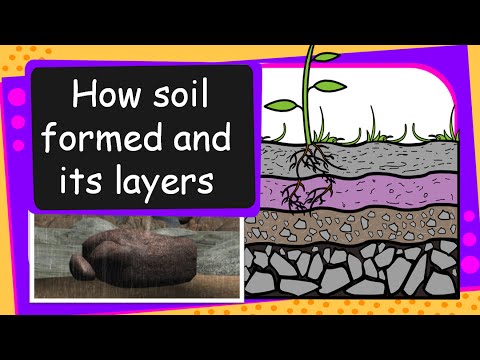 Soil Formation and Layers of Soil - Soil - CBSE Class 7 Science Video ...