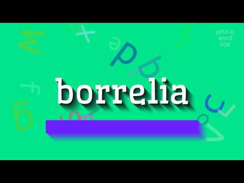 How to say "borrelia"! (High Quality Voices)