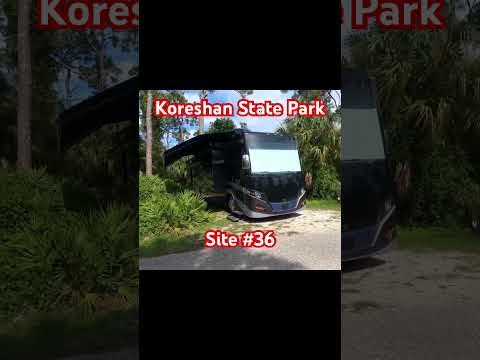Koreshan State Park Site 36