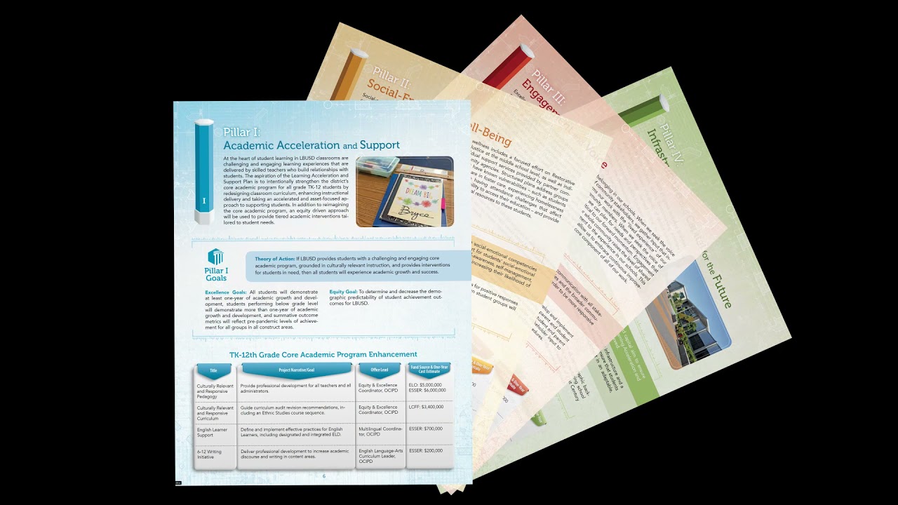 Learning Acceleration and Support Plan Overview