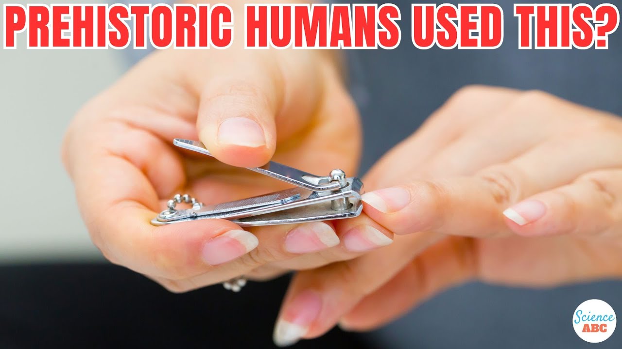 How Did Ancient Humans Cut Their Nails Without Nail Clippers?