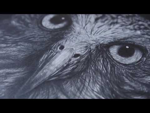 Realistic illustration : The Owl - 'Two Original' Collab with Gary Heery