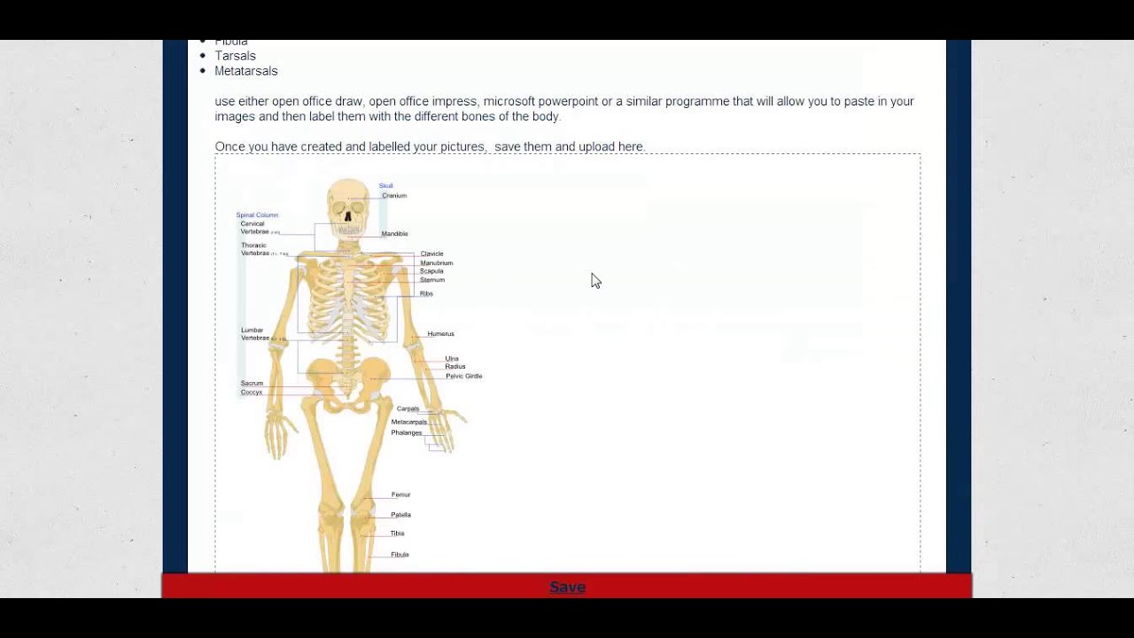 Completing Assessment Tasks