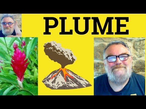 😎 Plume Meaning - Plume Defined - Plume Definition - Plume Examples - Plume Means - Plume