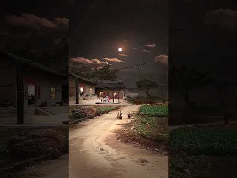 beautiful nature shorts #shots #shortsviral #beautiful #naat #best #new #islamic #reels #viralreels
