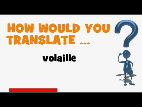 FRENCH TRANSLATION QUIZ = volaille