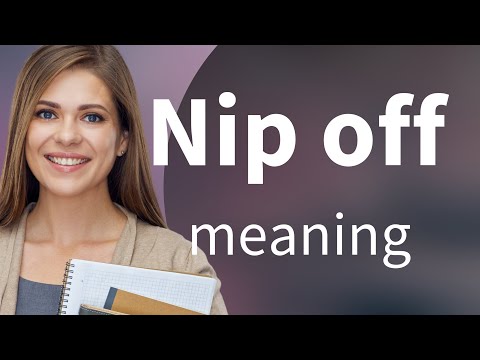 Nip off | NIP OFF definition