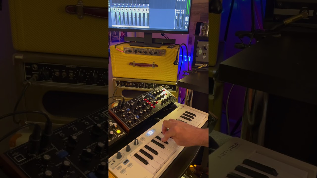 Humble but effective Analog Synth setup! #behringermodeld #analogsynth #minitaur
