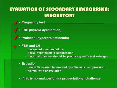 Womens Health Amenorrhea