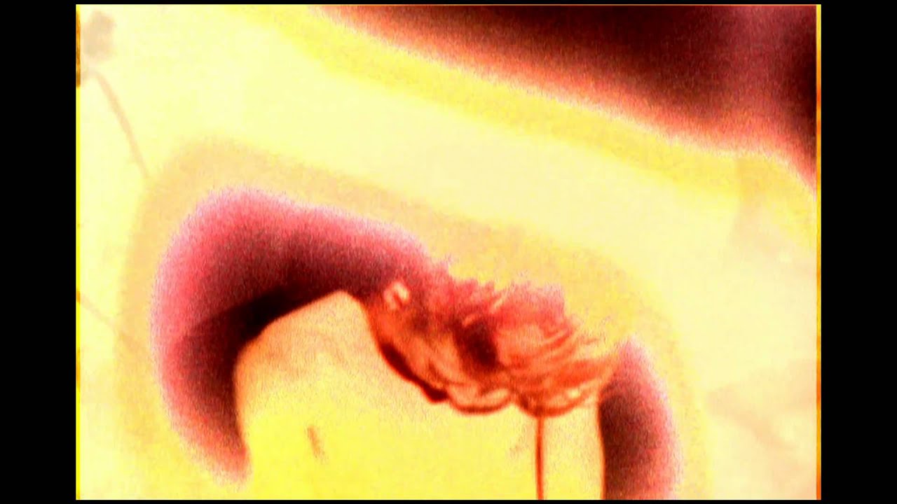 Tamaryn - Love Fade (Official)