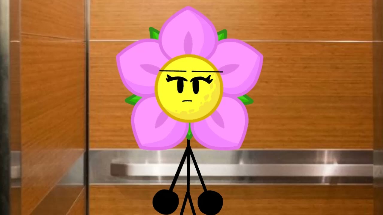 Flower and Leafy In da Elevator | BFDI Animation