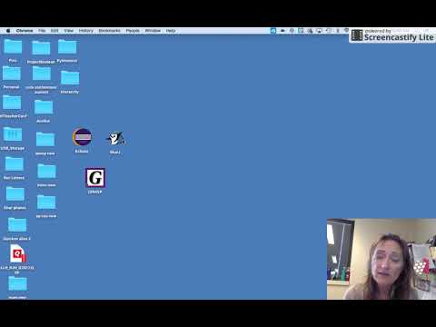 definition of IDE