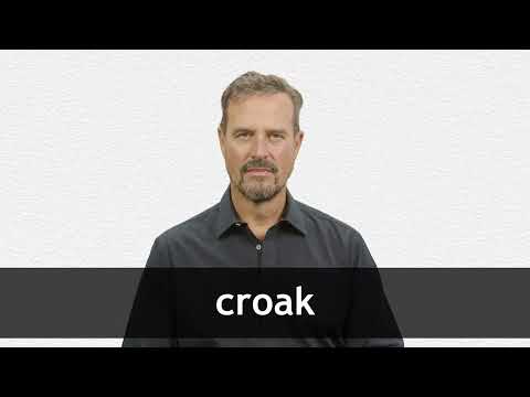 CROAK definition in American English | Collins English Dictionary