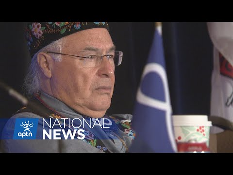Metis Nation of Ontario and Metis National Council go to court | APTN News