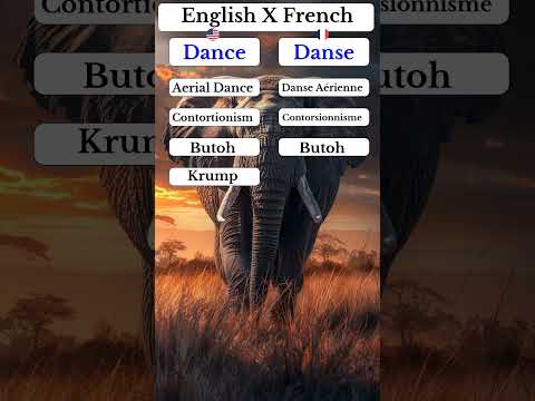 Part 4 - EN - Dance X FR - Danse