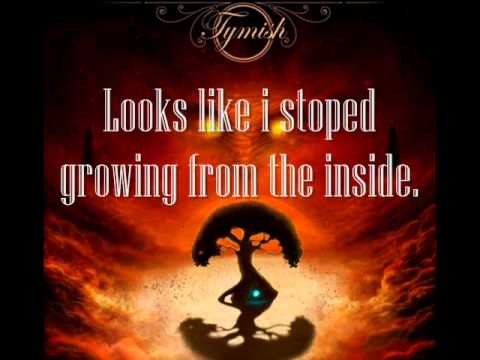 Tymish - Desmond The Moon Bear