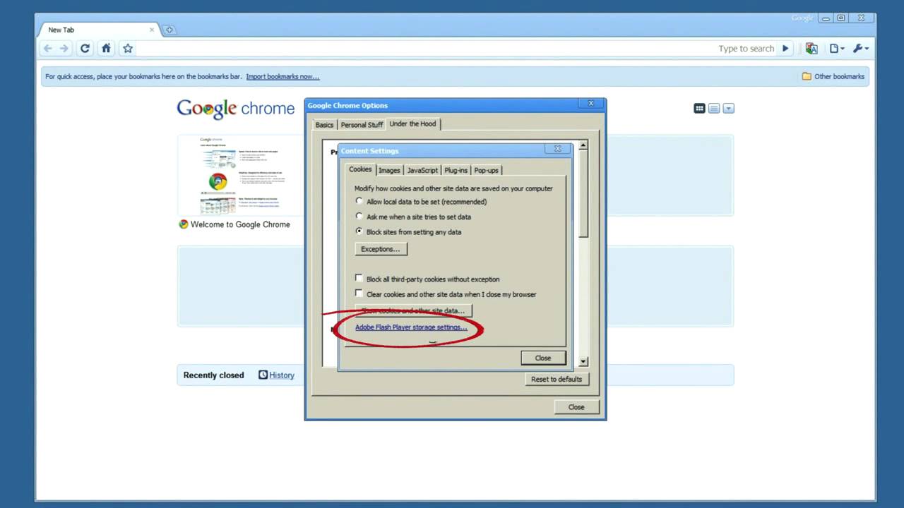 Google Chrome & Privacy - Browser Cookies