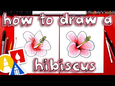 How To Draw A Hibiscus Flower ????