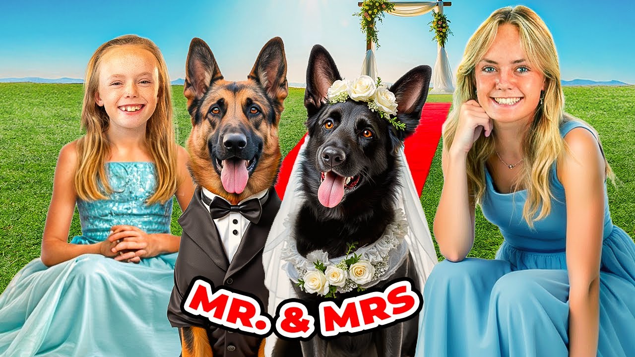 Our Dog Gets MARRIED! Disaster