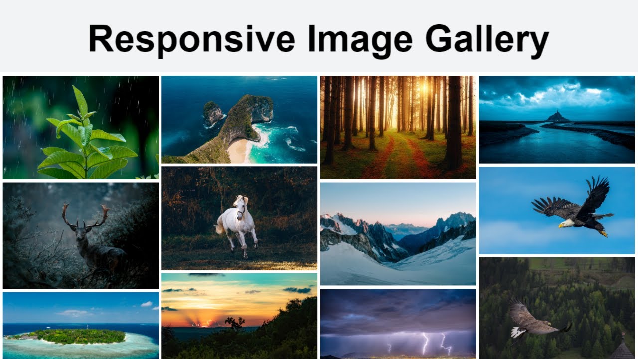 Create Responsive Image Gallery Using HTML, CSS, and JavaScript