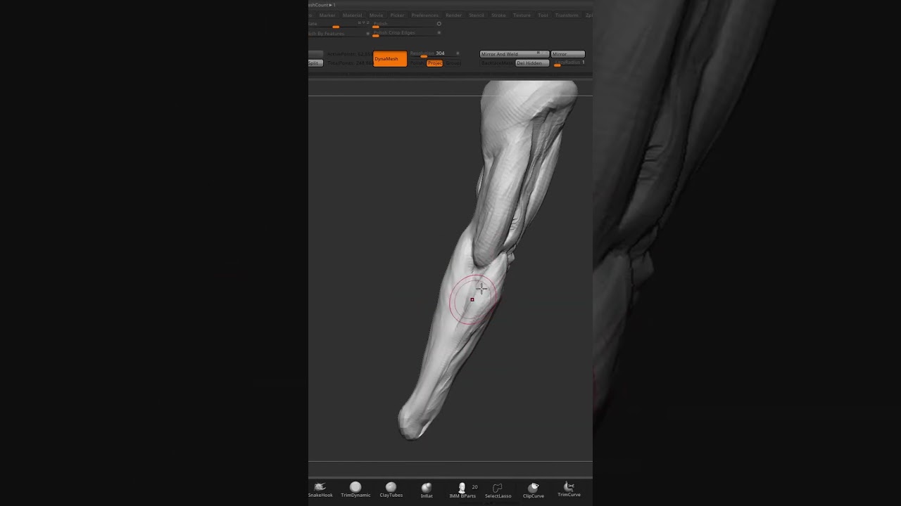 CAN A 40 MIN ANATOMY SKETCH LOOK GOOD??? #art #anatomyart #digitalart #sculpting #3d