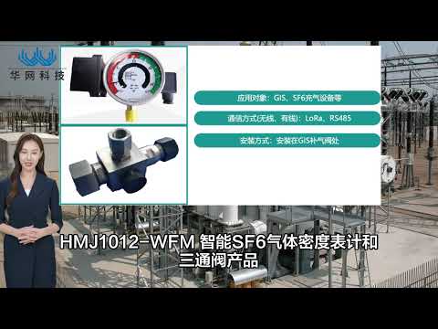 GIS Online Monitoring System