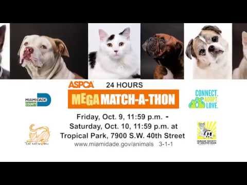 ASPCA Mega Match-A-Thon ENGLISH