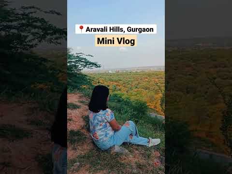 Aravali Hills Gurgaon Vlog | Aravali Hills Video #aravalihills #shorts