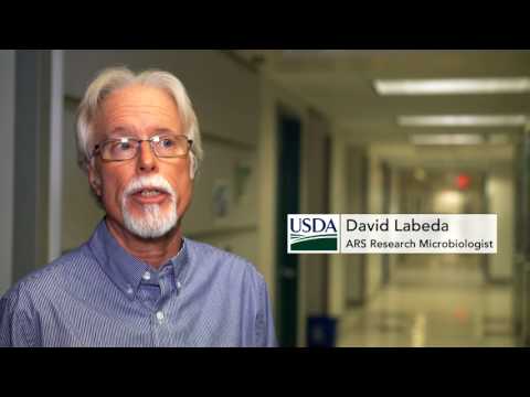 USDA-ARS SAFEGUARDS VALUABLE SCIENTIFIC RESOURCES