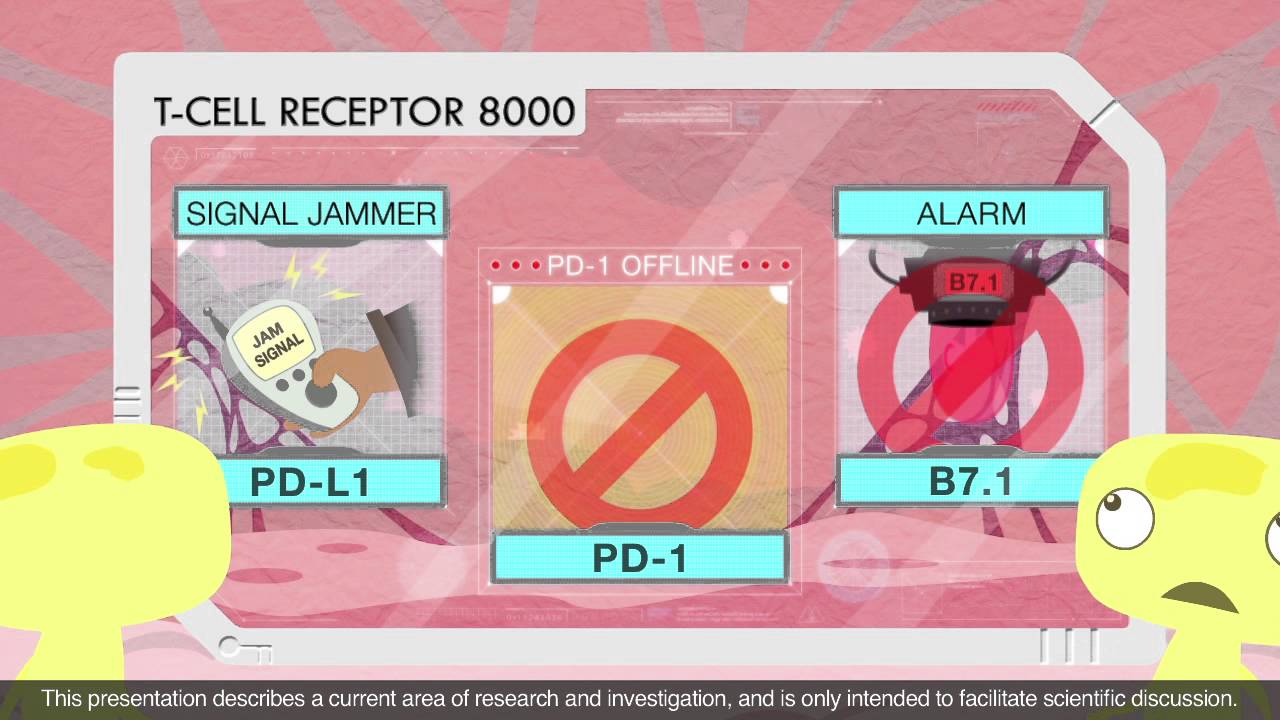 Cancer Immunotherapy - PD-1 and PD-L1