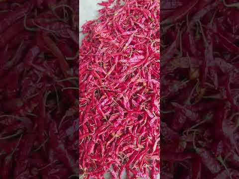 Dry Red Chilli - Dry Red Chili Latest Price, Manufacturers & Suppliers