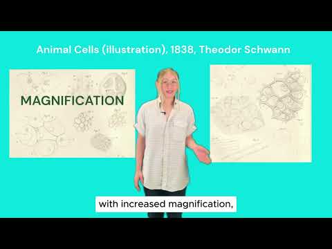 Theory of Cells as Basic Units